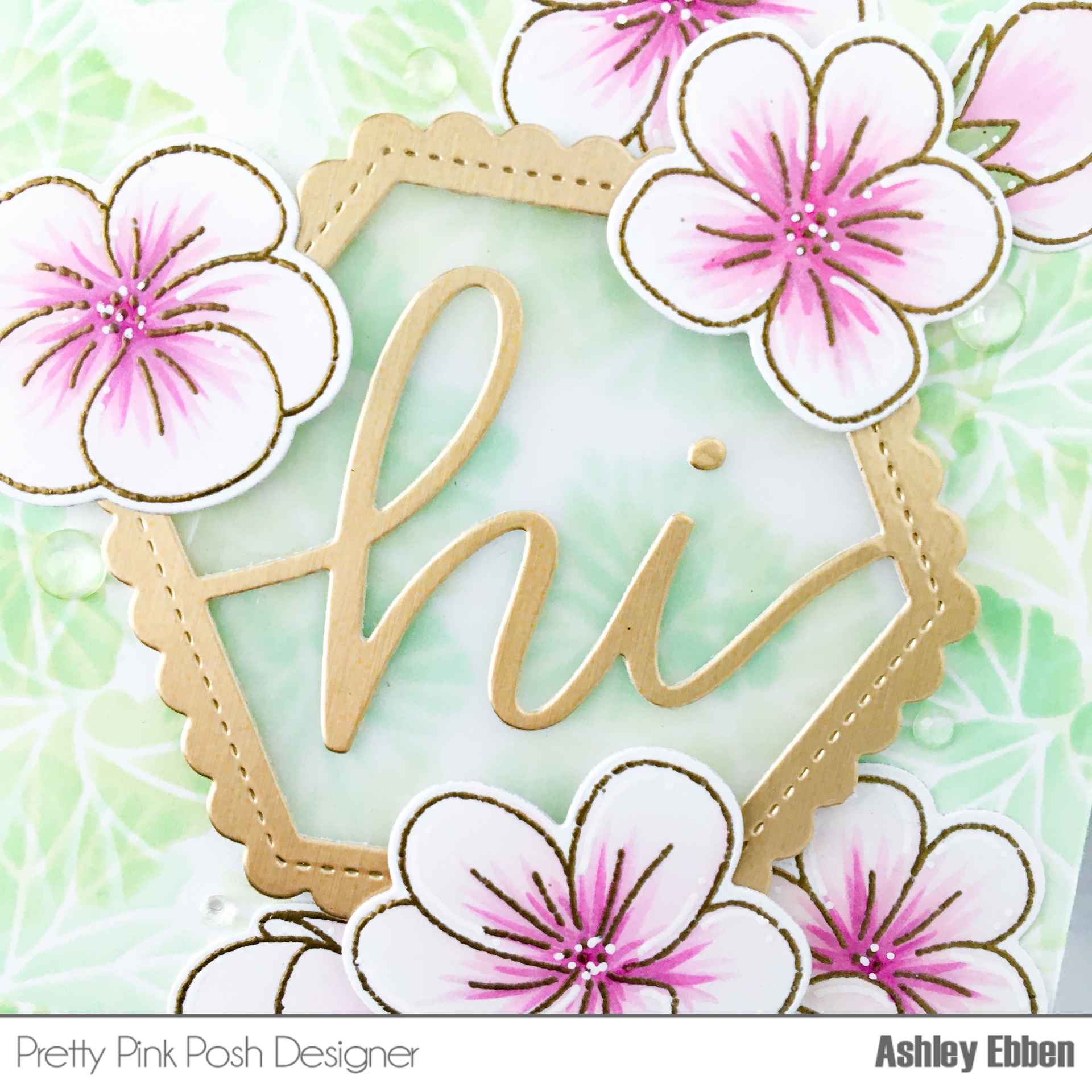 Geranium Hi | Pretty Pink Posh