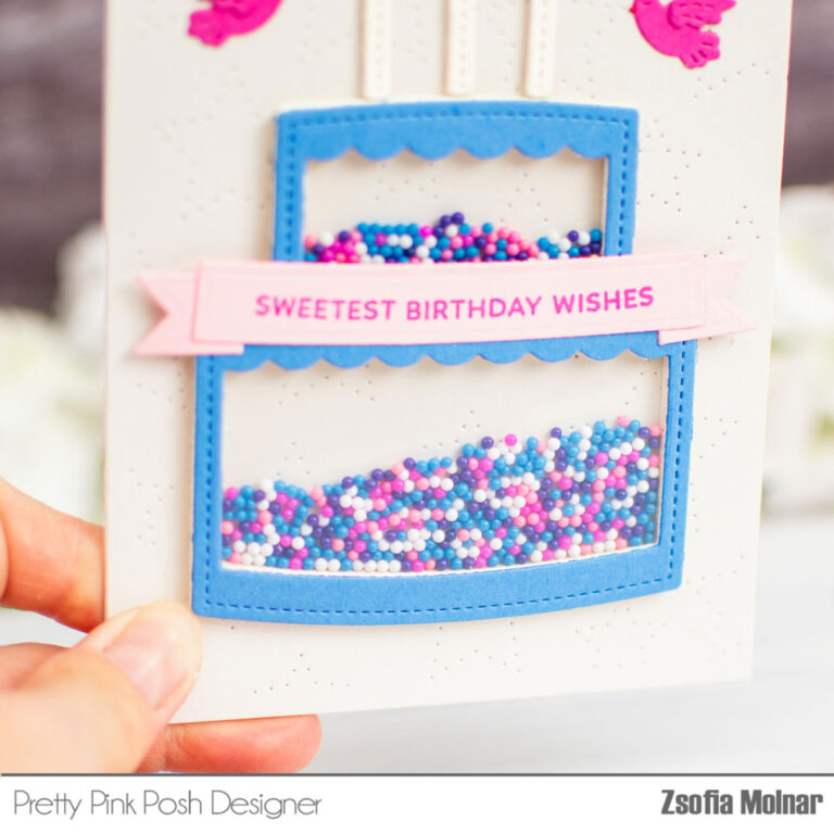 Birthday Cake Shaker | Pretty Pink Posh