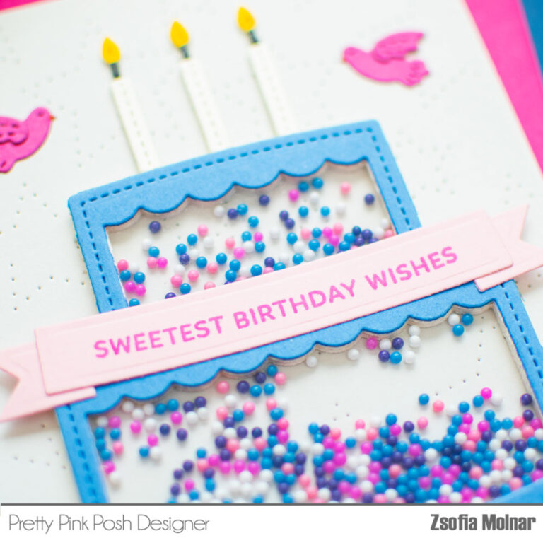 Birthday Cake Shaker | Pretty Pink Posh